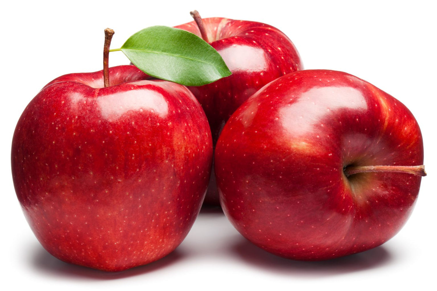 U-Pick apple orchard Lincoln Nebraska – Picnic Hill Orchard